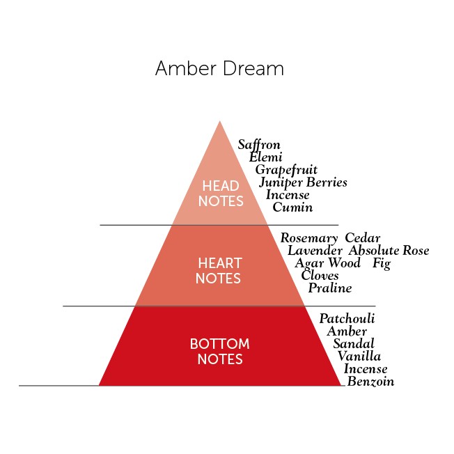 Perfume Eau de parfum Amber Dream | Detaille French Fragrance since...
